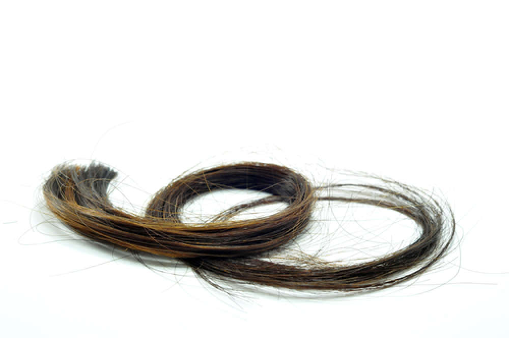 Pulling Your Hair Out Isn t Just A Bad Habit Pulling Your Hair Out Isn t Just A Bad Habit